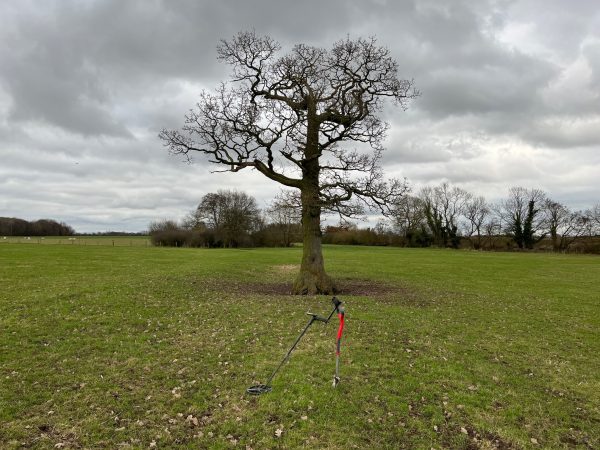 The Ultimate Guide To Legal Metal Detecting In The UK: Where To Go And ...
